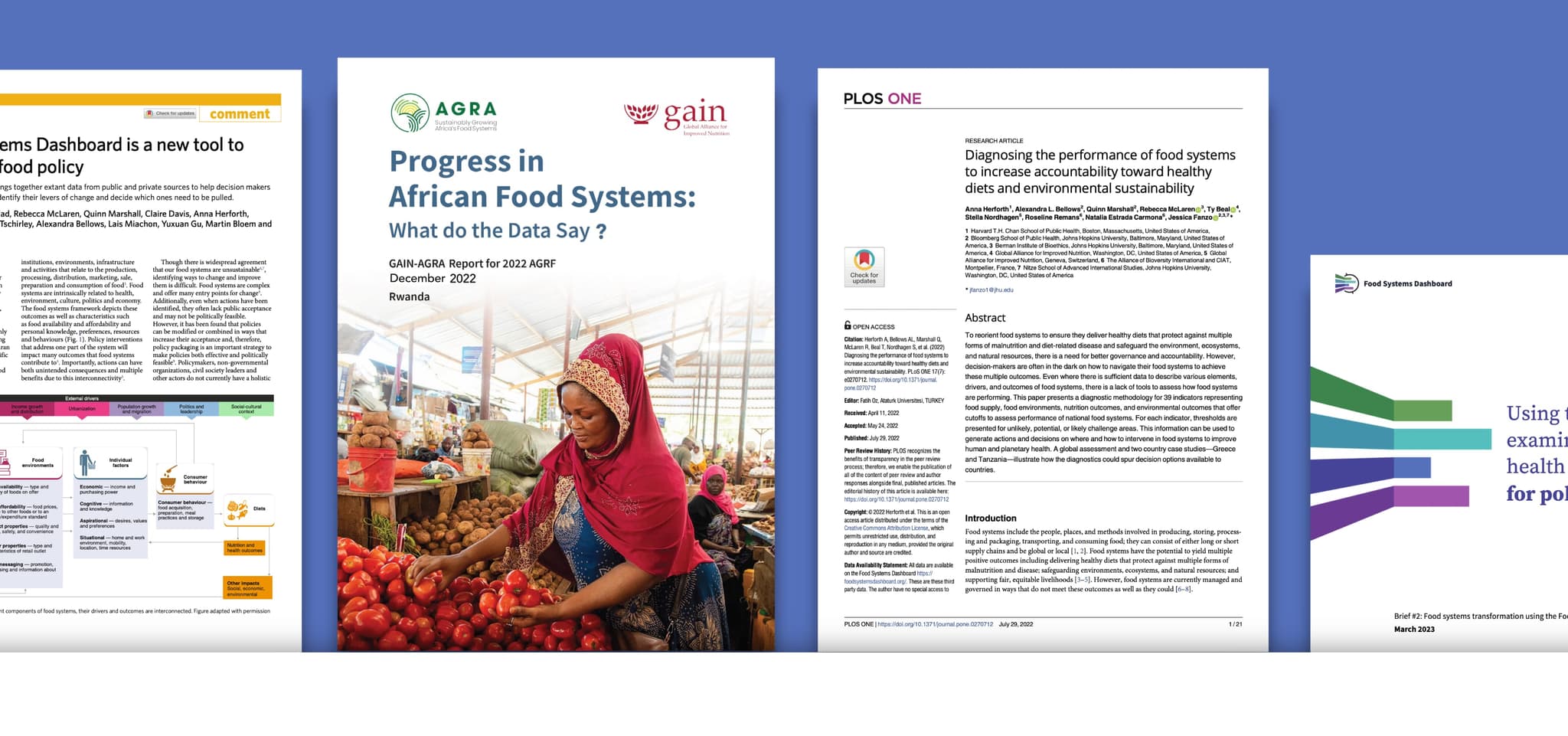 Information - Food Systems Dashboard